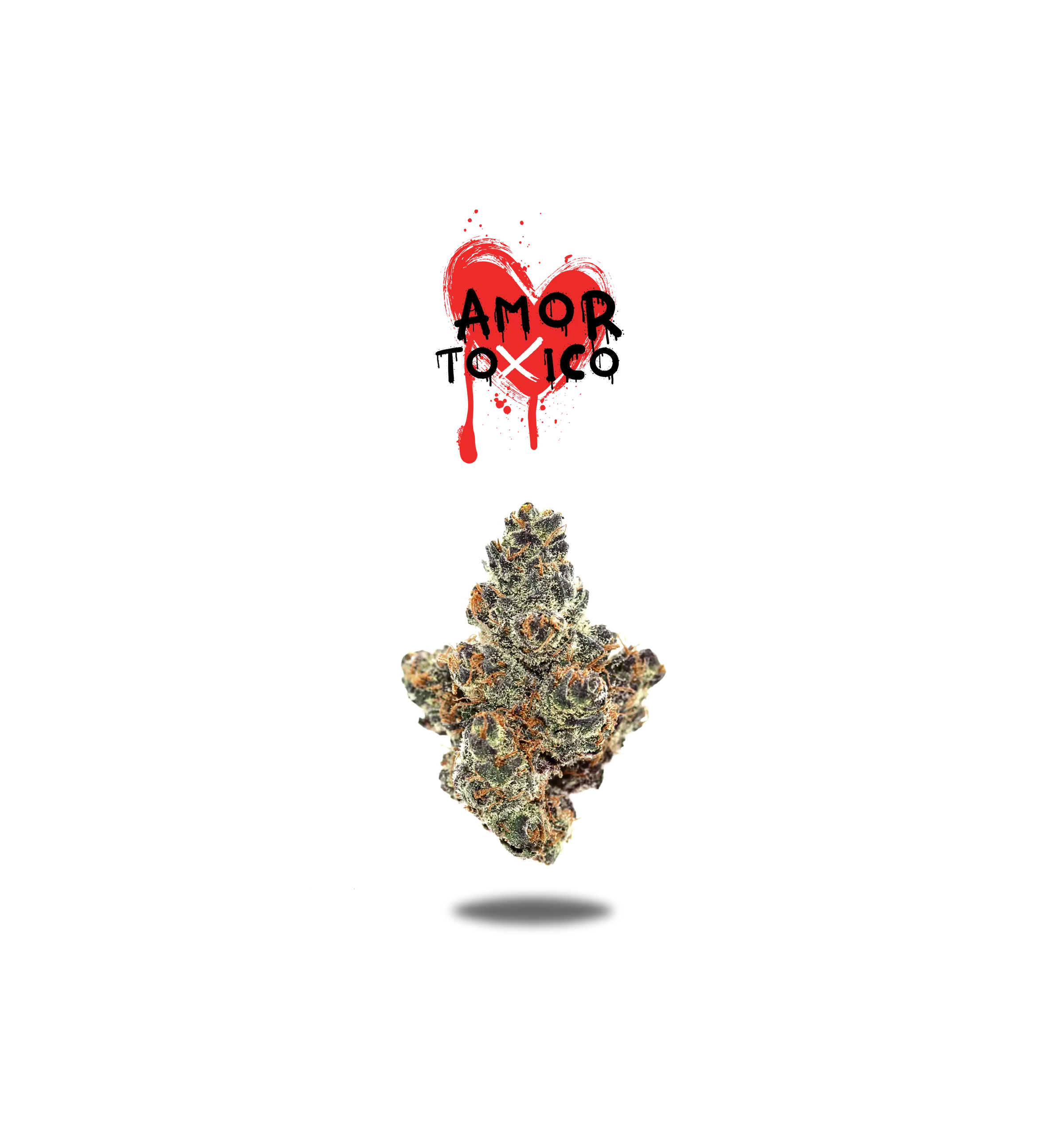 Amor Toxico Premium Flower 3.5G - Black Label Series | Oakfruitland